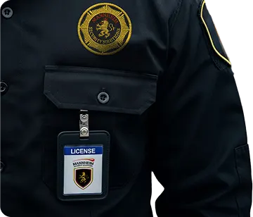 About MSS - Professional Security You Can Trust